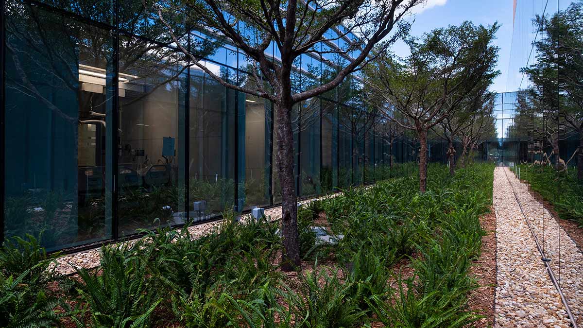 Emergency Medicine | Cleveland Clinic Florida