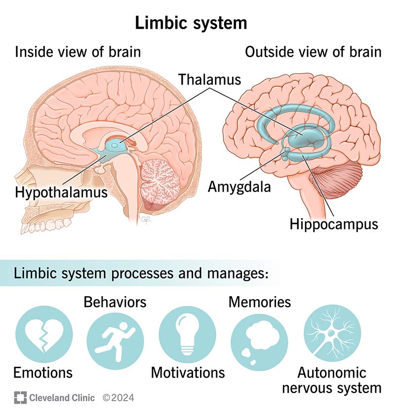 Emotional Tricks Brain Games