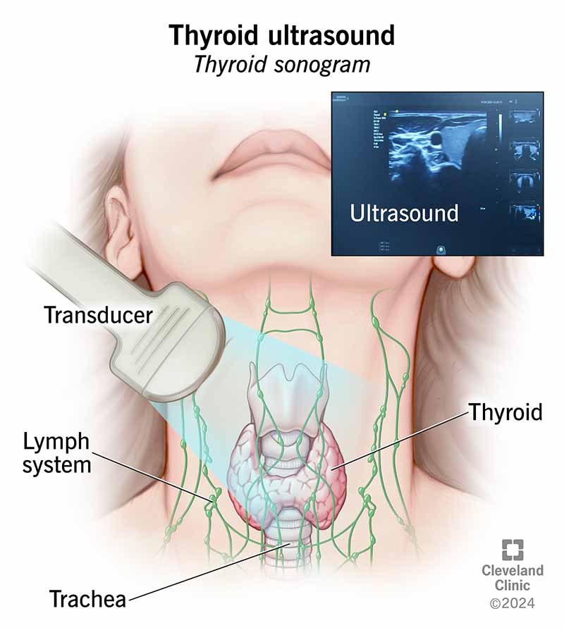 Procedures - ENT Specialty Group