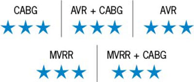 Cardiac Surgery Outcomes: STS Star Rating and E15 Matrix Data Set ...